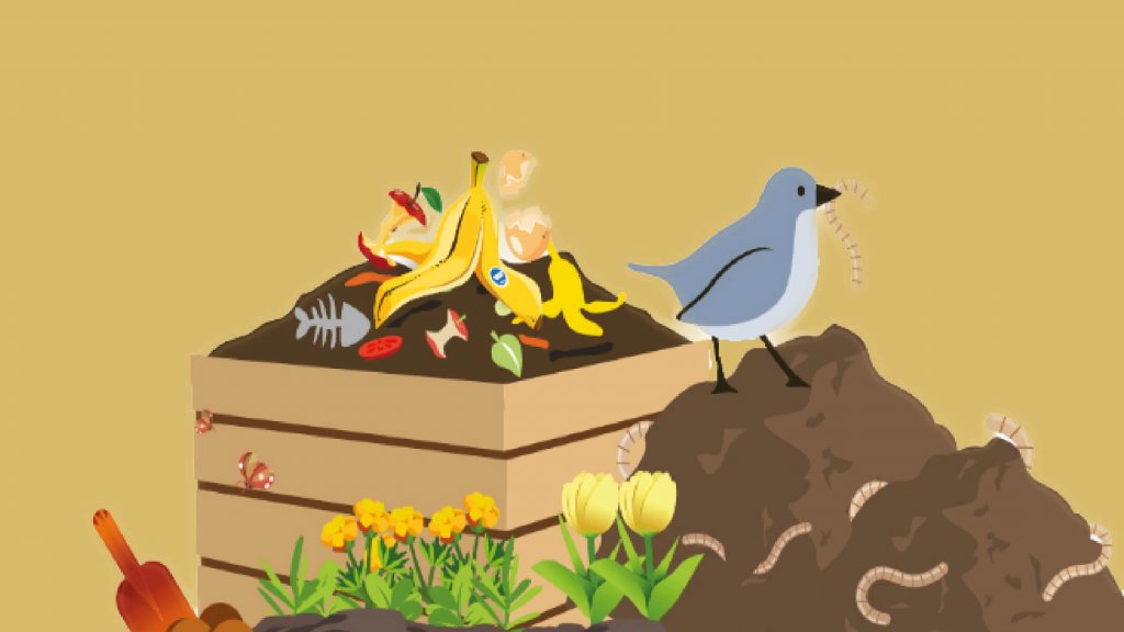 Composteira: O Guia Completo Para Reciclar Seu Lixo Orgânico